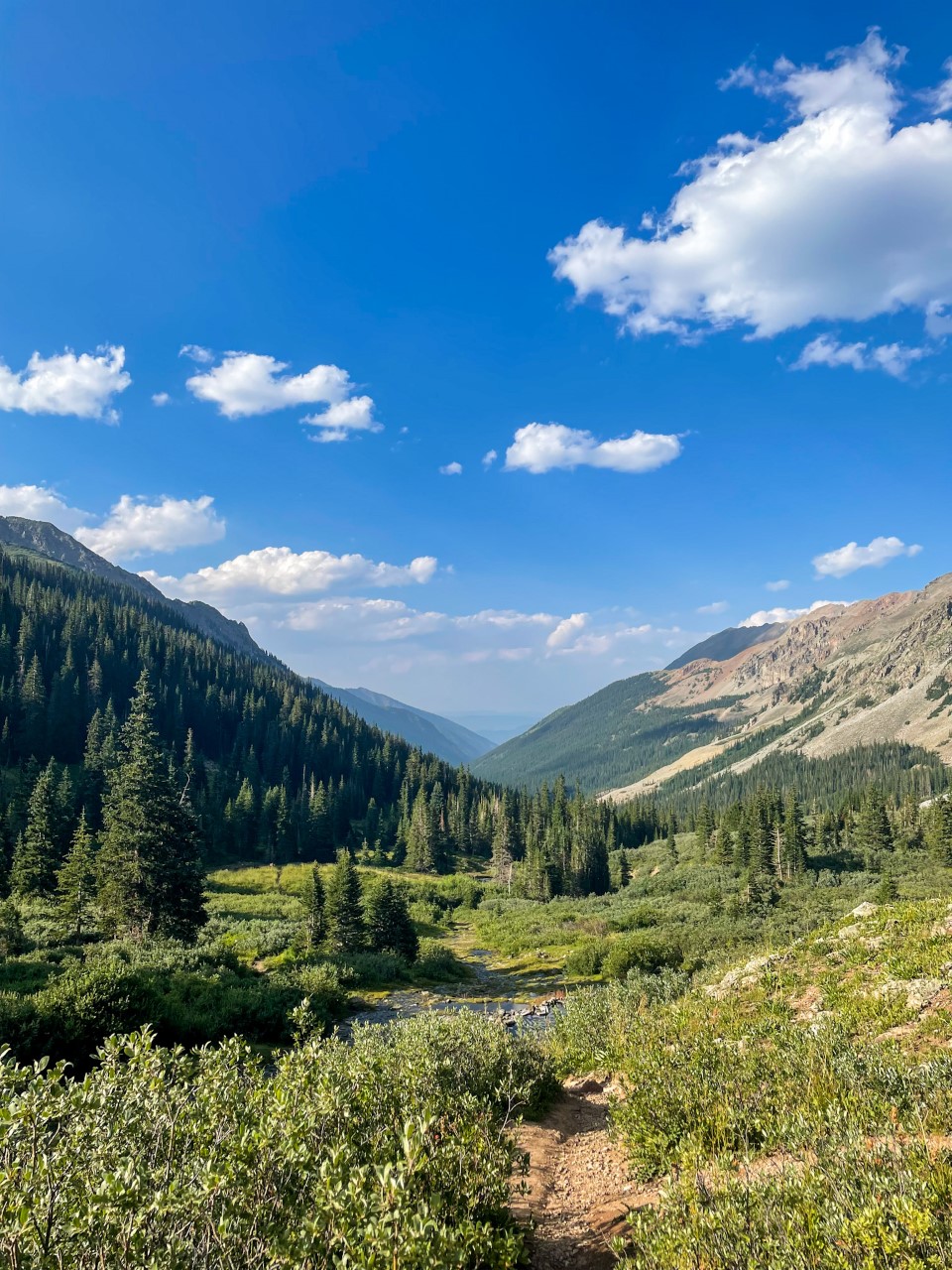 The Ultimate Guide to Conundrum Hike & Hot Springs in Aspen, Colorado ...