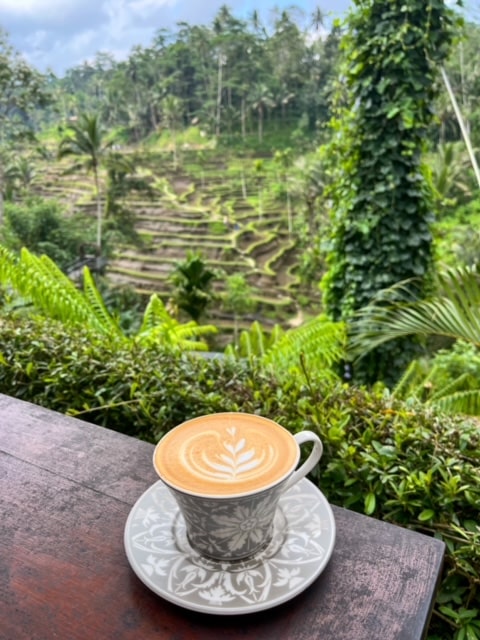 Top 10 Ubud Restaurants - The Gallivanting Spoon